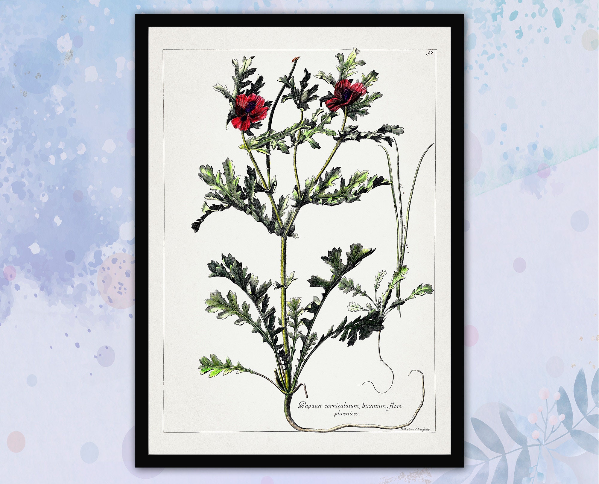 Set of 6 Vintage French Botanical Wall Art. Botanical Poster. | Etsy