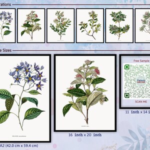 Set of 6 Vintage Botanical Prints. Botanic Wall Art. Botanical Poster ...