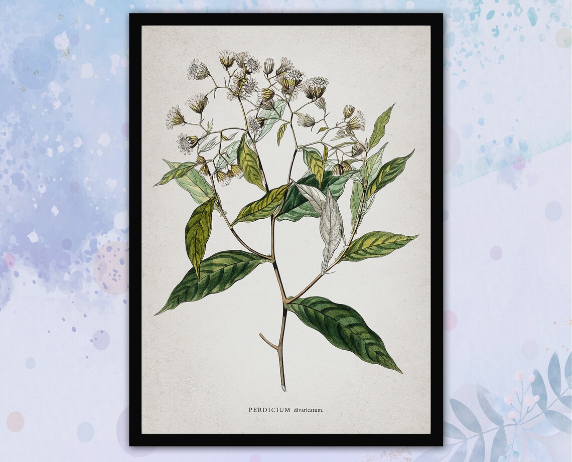 Set of 6 Vintage Botanical Prints Wall Art. Botanical Poster. | Etsy