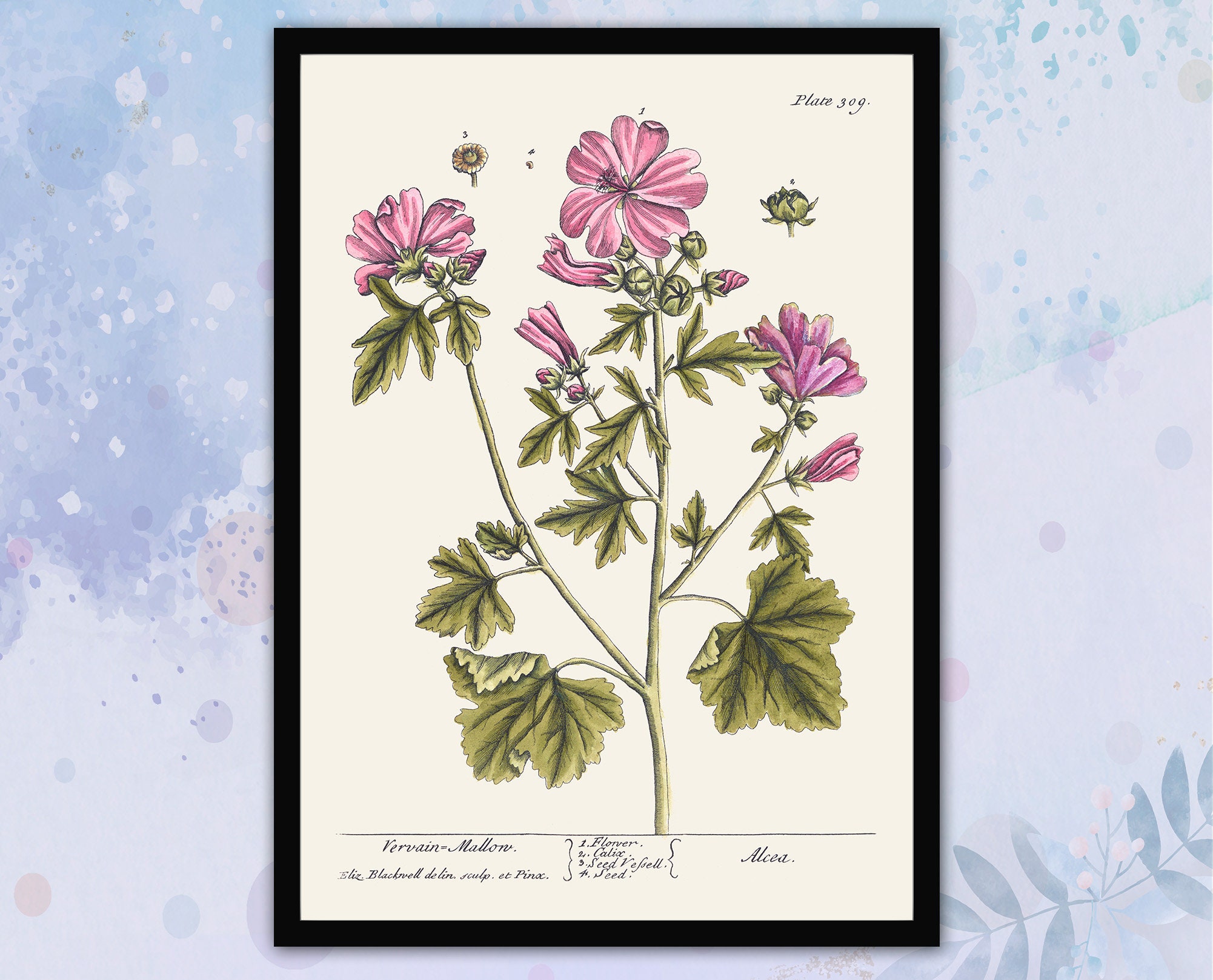 Set of 6 Vintage Botanical Prints Wall Art. Botanical Poster. | Etsy