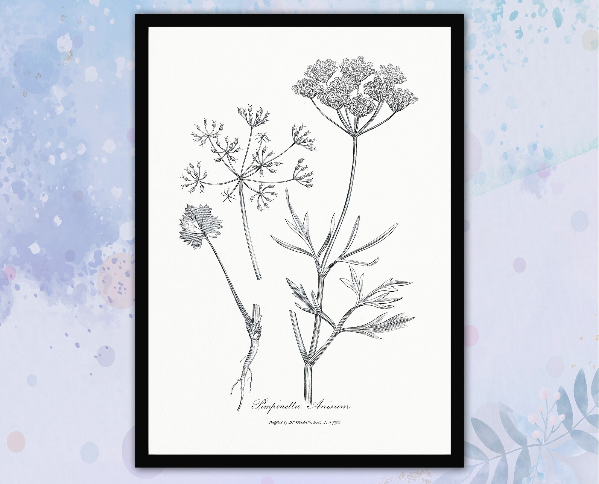 Set of 6 Vintage Botanical Wall Art. Botanical Study Prints. - Etsy
