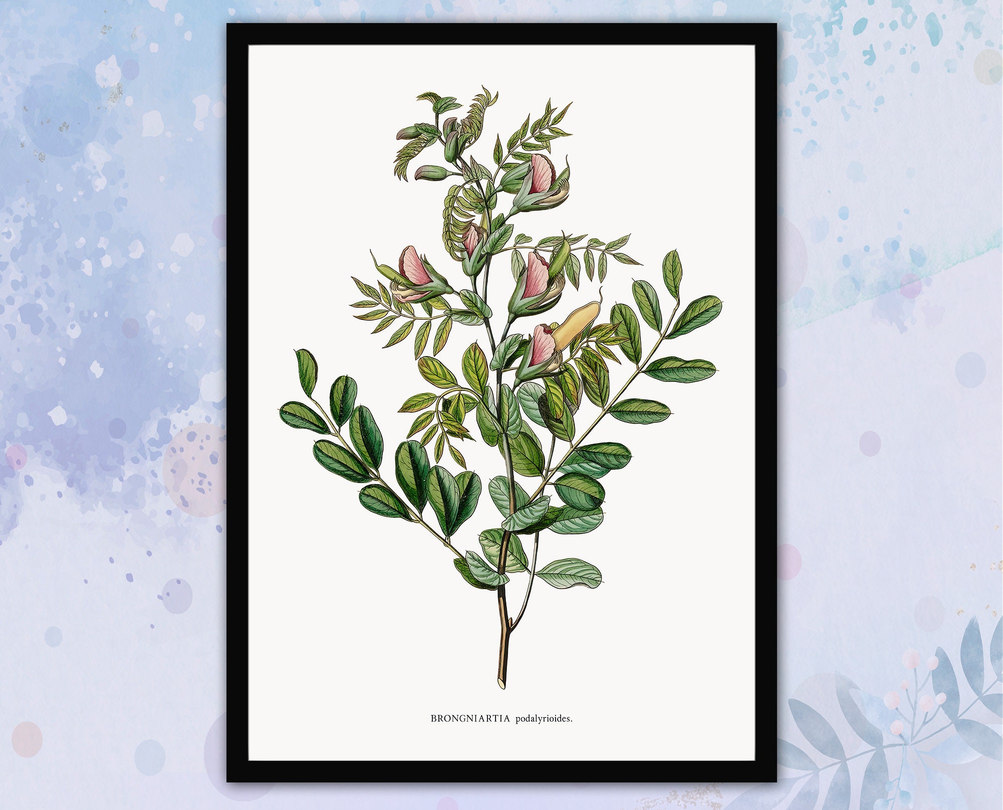 Set of 6 Vintage Botanical Prints. Botanic Wall Art. Botanical | Etsy