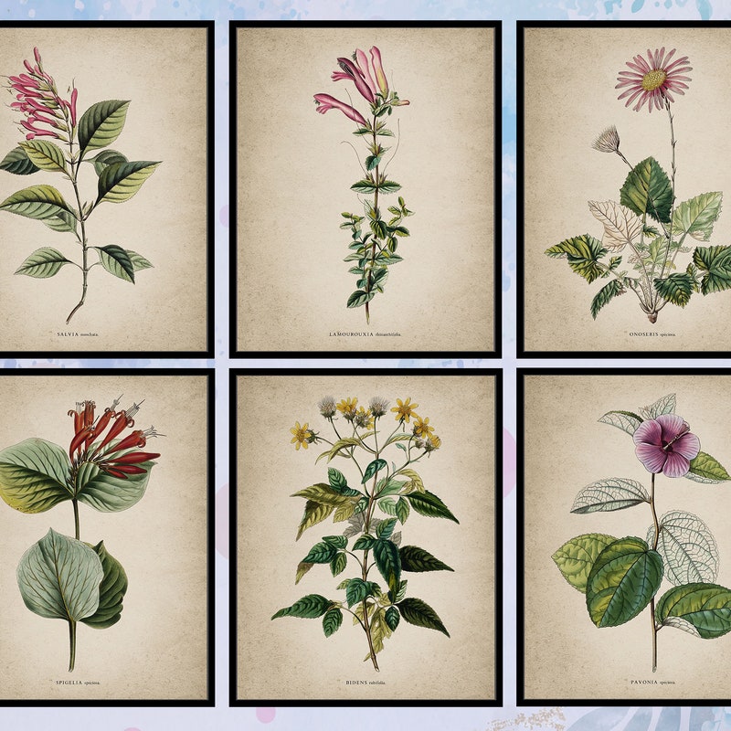 Botanical Decor - Etsy