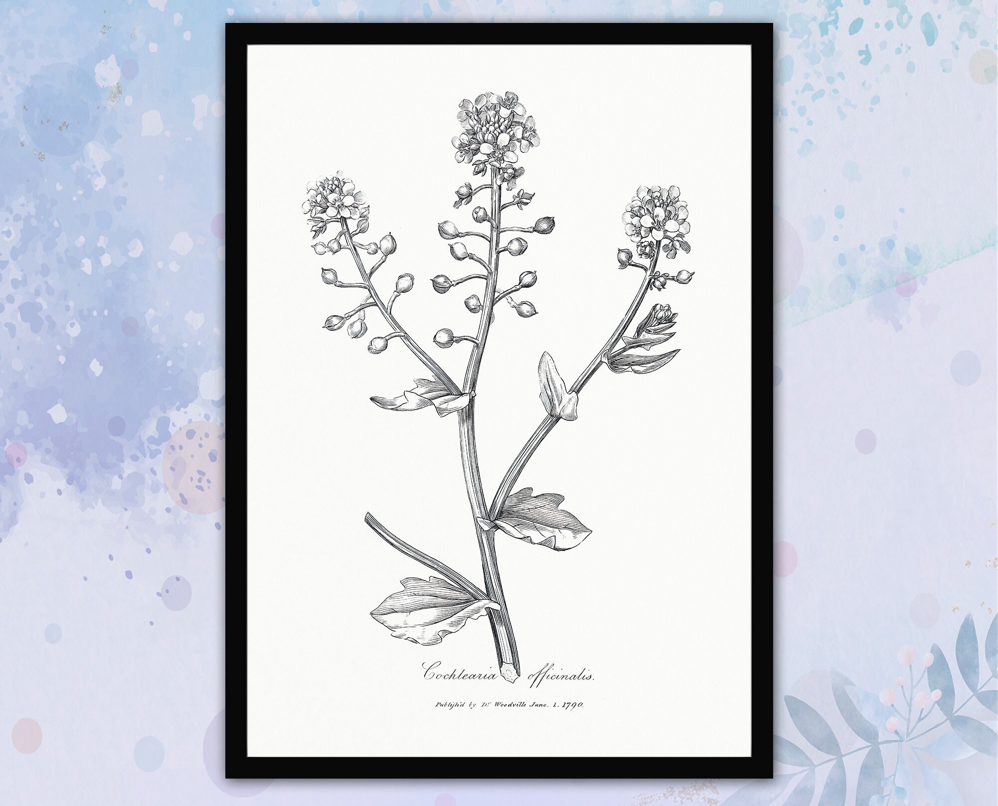 Set of 6 Vintage Botanical Wall Art. Botanical Study Prints. - Etsy