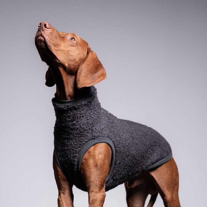 Wool Coat Dogs - Etsy UK