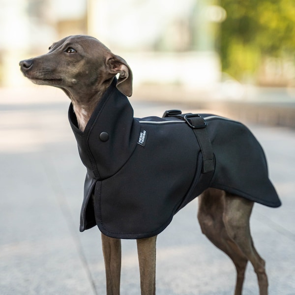 Greyhound Coats - Etsy UK