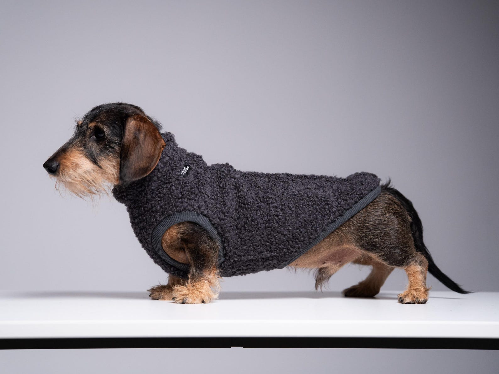 75% Wool Dachshund Jumper – Sausage Dog Sweater, Doxie Clothes ...