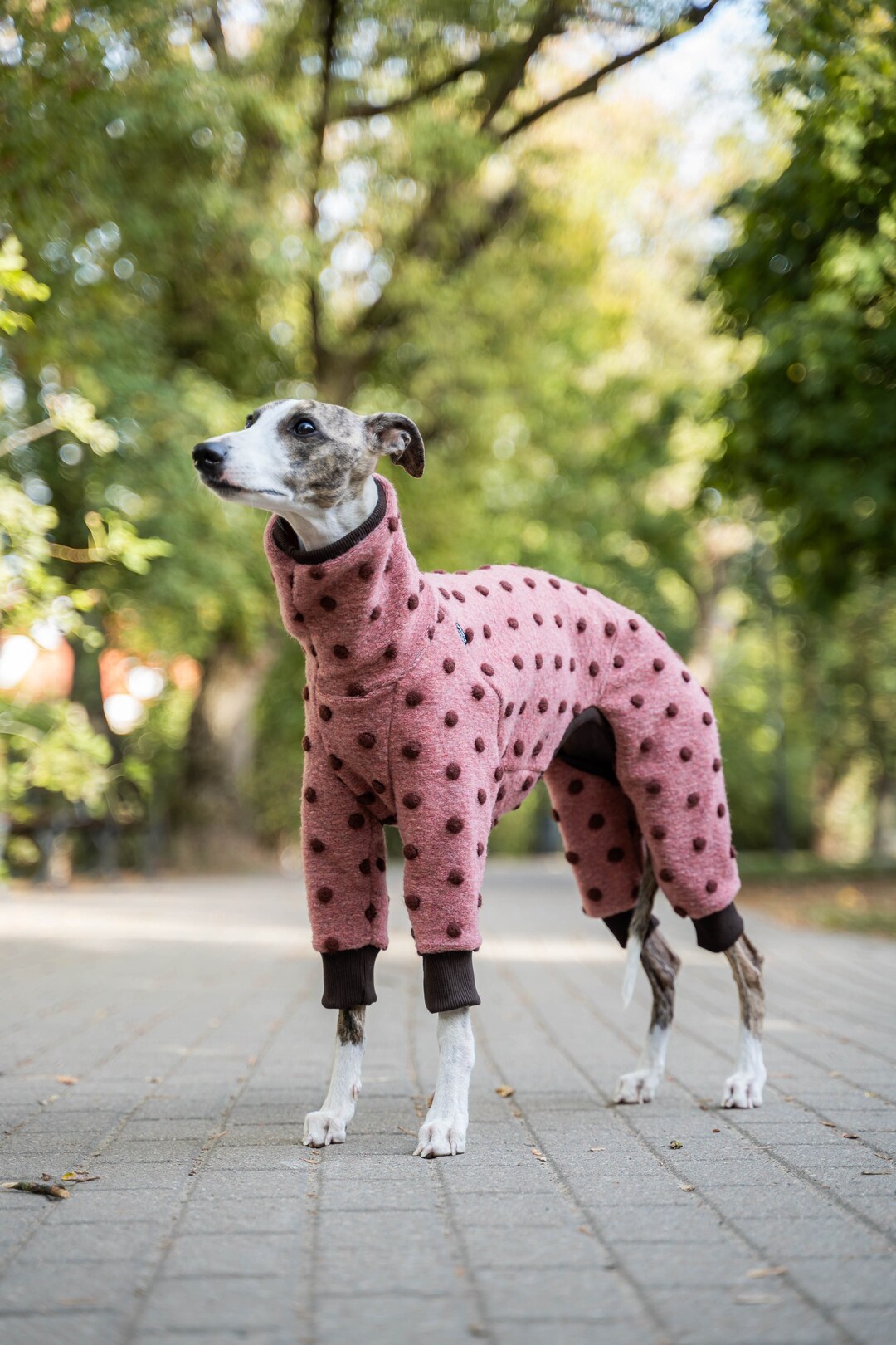 25% Wool Premium Jumpsuit for Whippet Excellent Protection and ...