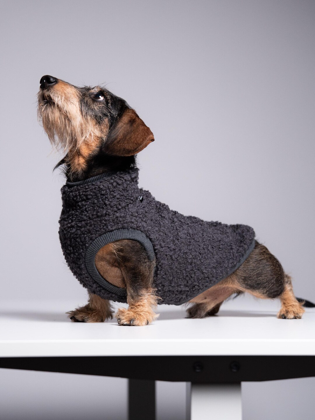 75% Wool Dachshund Jumper – Sausage Dog Sweater, Doxie Clothes ...