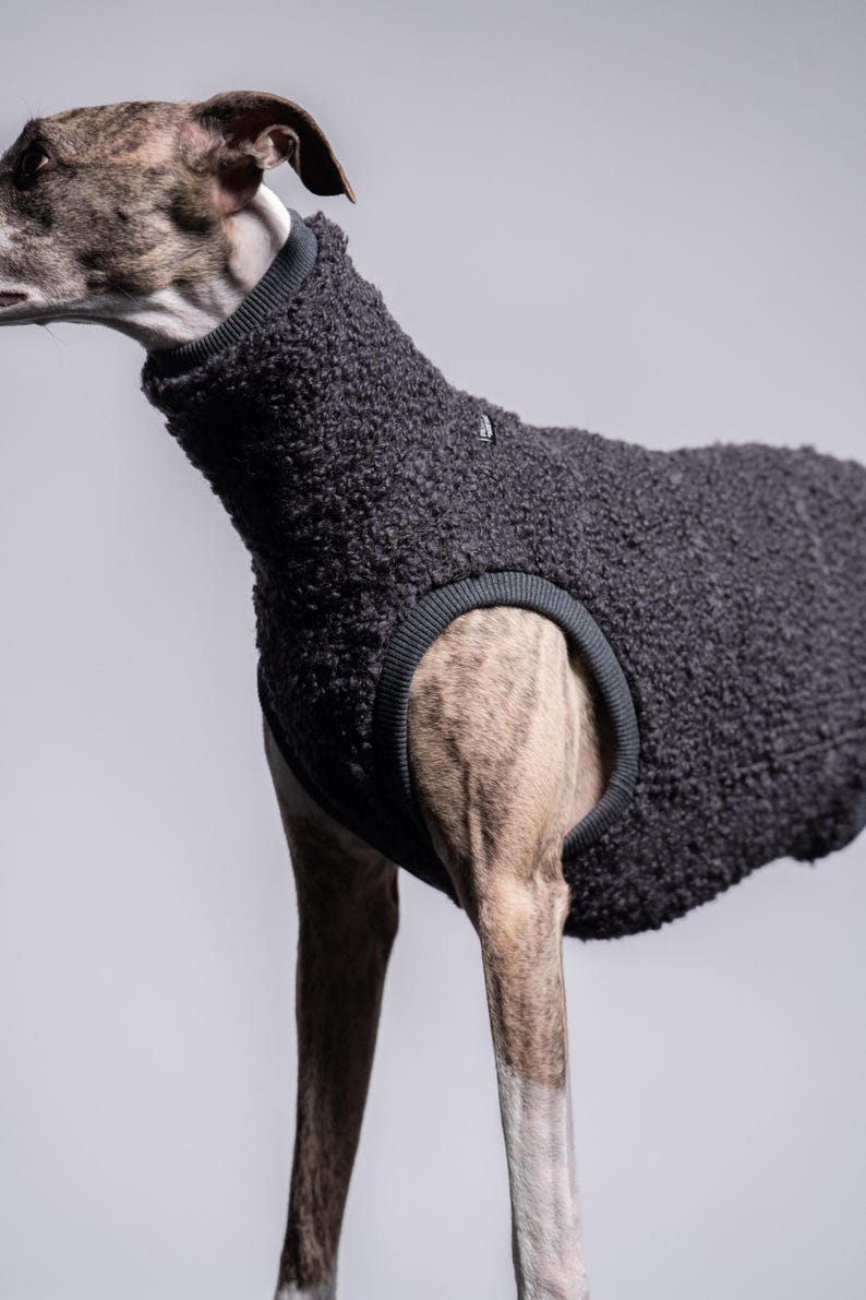 75% Wool Whippet Jumper – Whippet Clothing, Sighthound Sweater ...