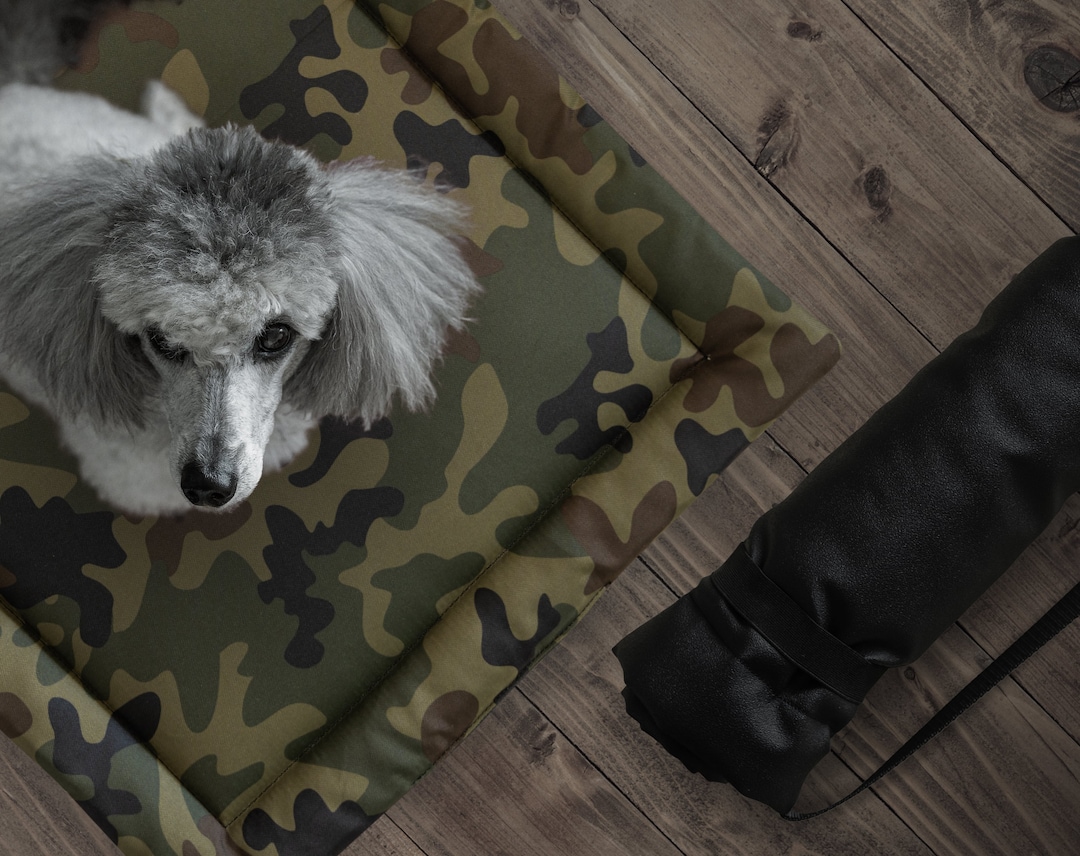 Waterproof Roll-up Dog Travel Mat, Blanket for Small and Big Dogs ...