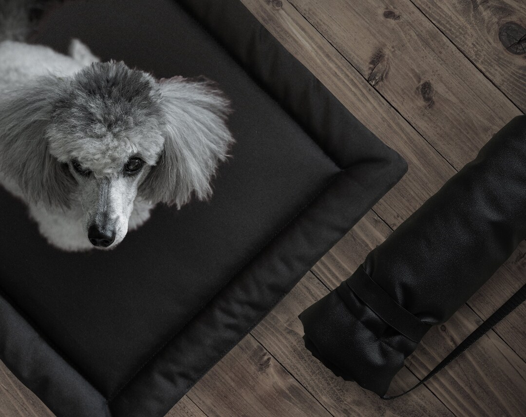 Waterproof Roll-up Dog Travel Mat, Blanket for Small and Big Dogs ...