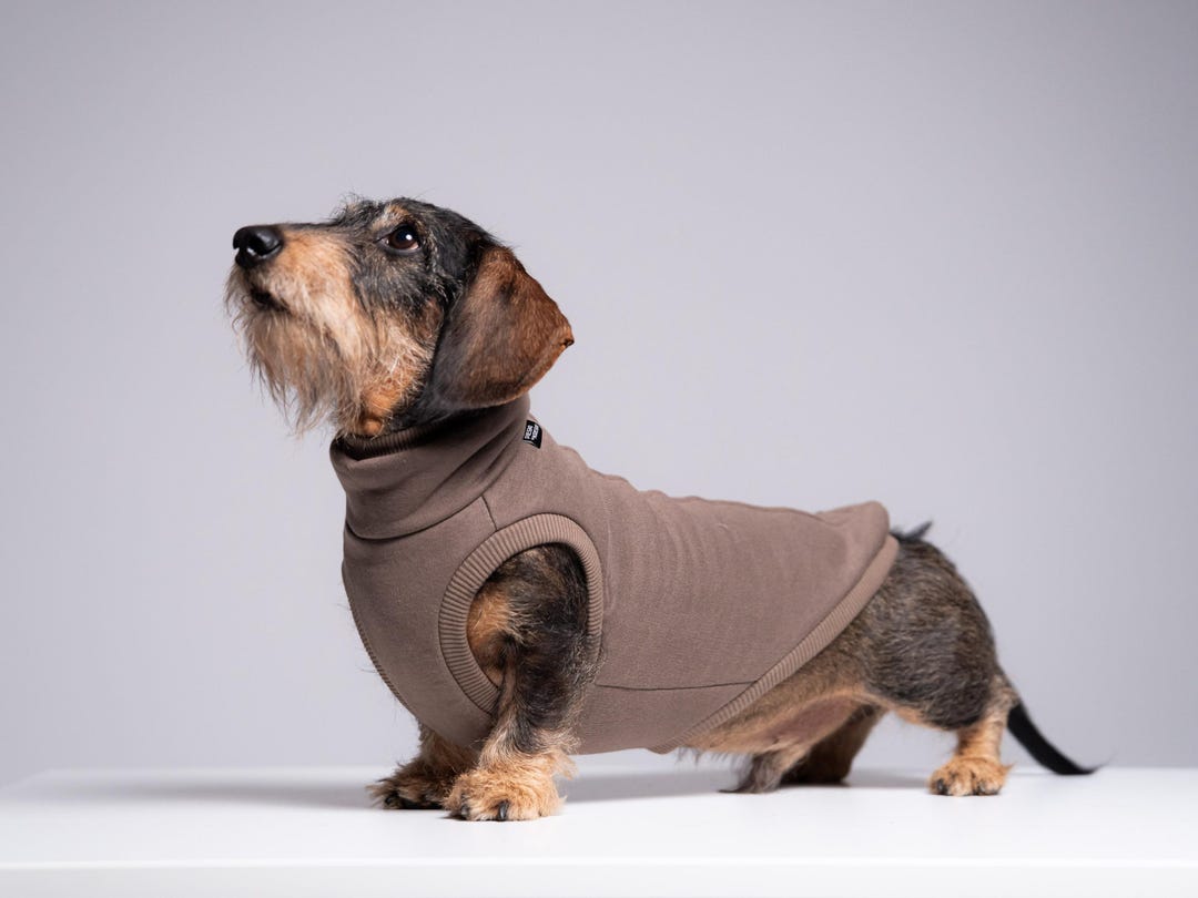 90% Cotton Dachshund Jumper – Sausage Dog Sweater, Doxie Clothes ...