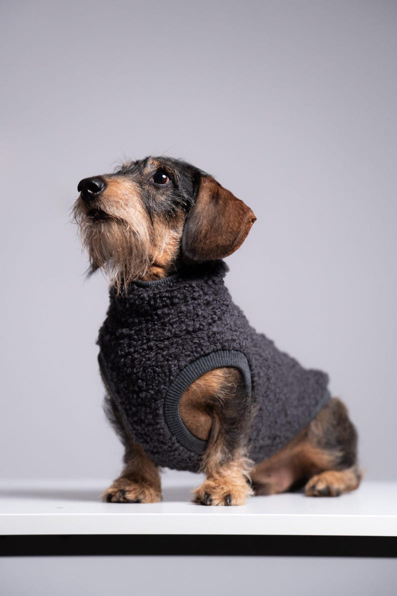 75% Wool Dachshund Jumper – Sausage Dog Sweater, Doxie Clothes ...