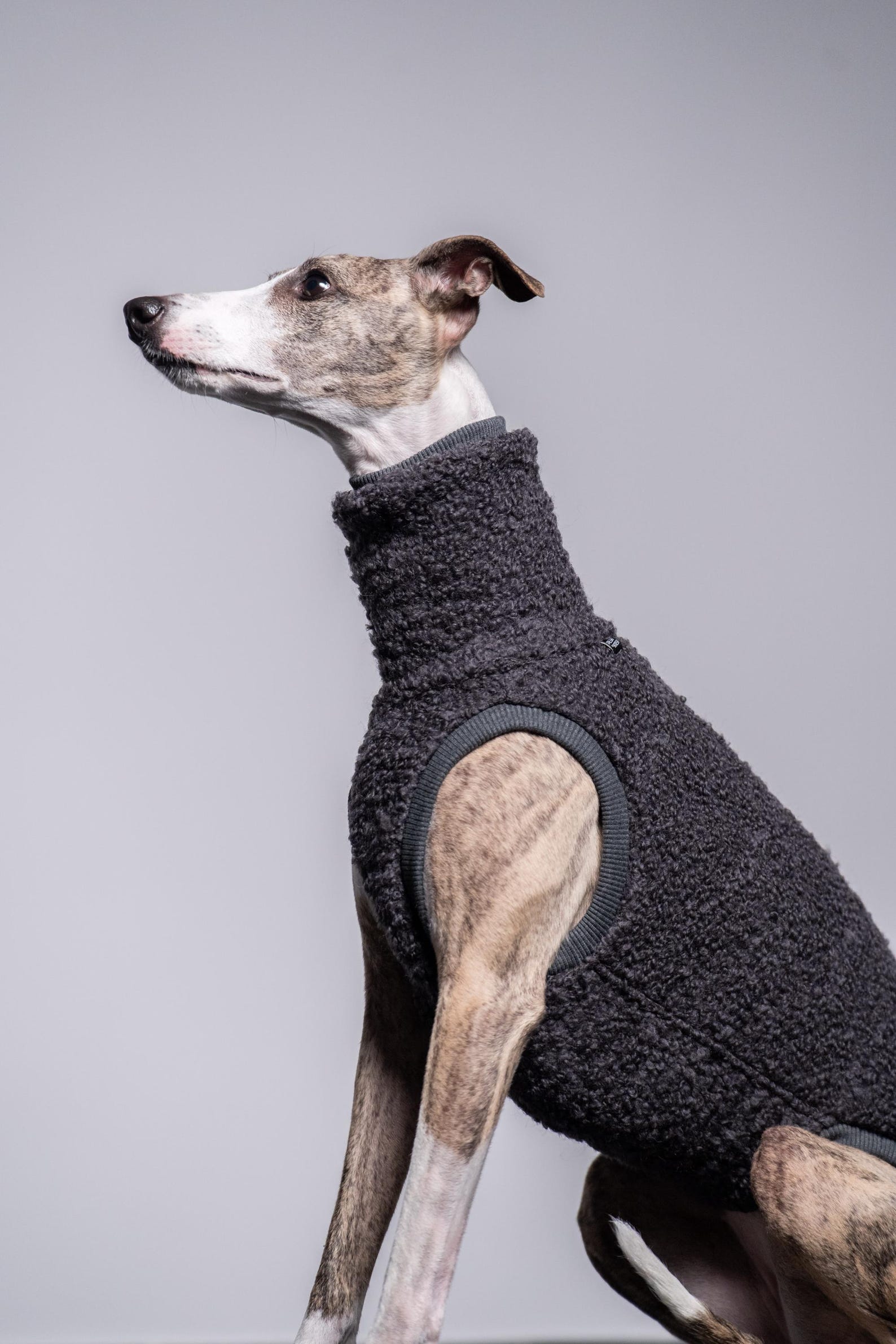 75% Wool Whippet Jumper – Whippet Clothing, Sighthound Sweater ...