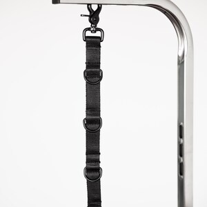Comfort and Support: the Perfect Grooming Belt for Your Pooch. Dog ...