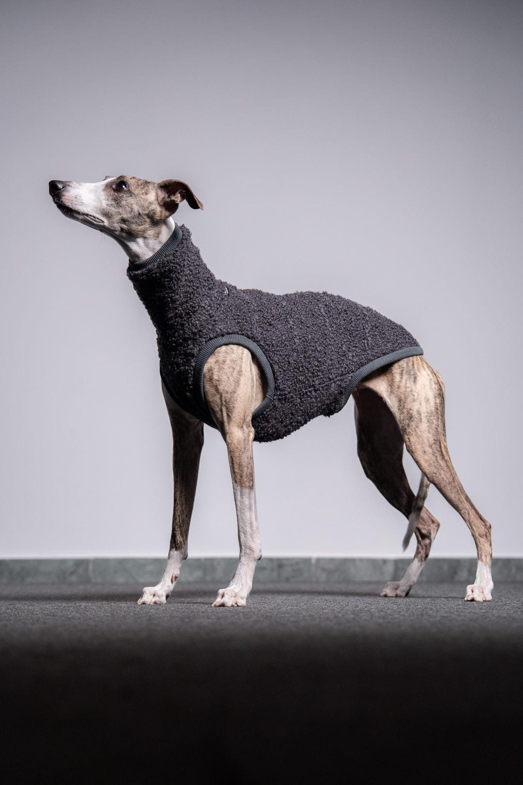 75% Wool Whippet Jumper – Whippet Clothing, Sighthound Sweater ...