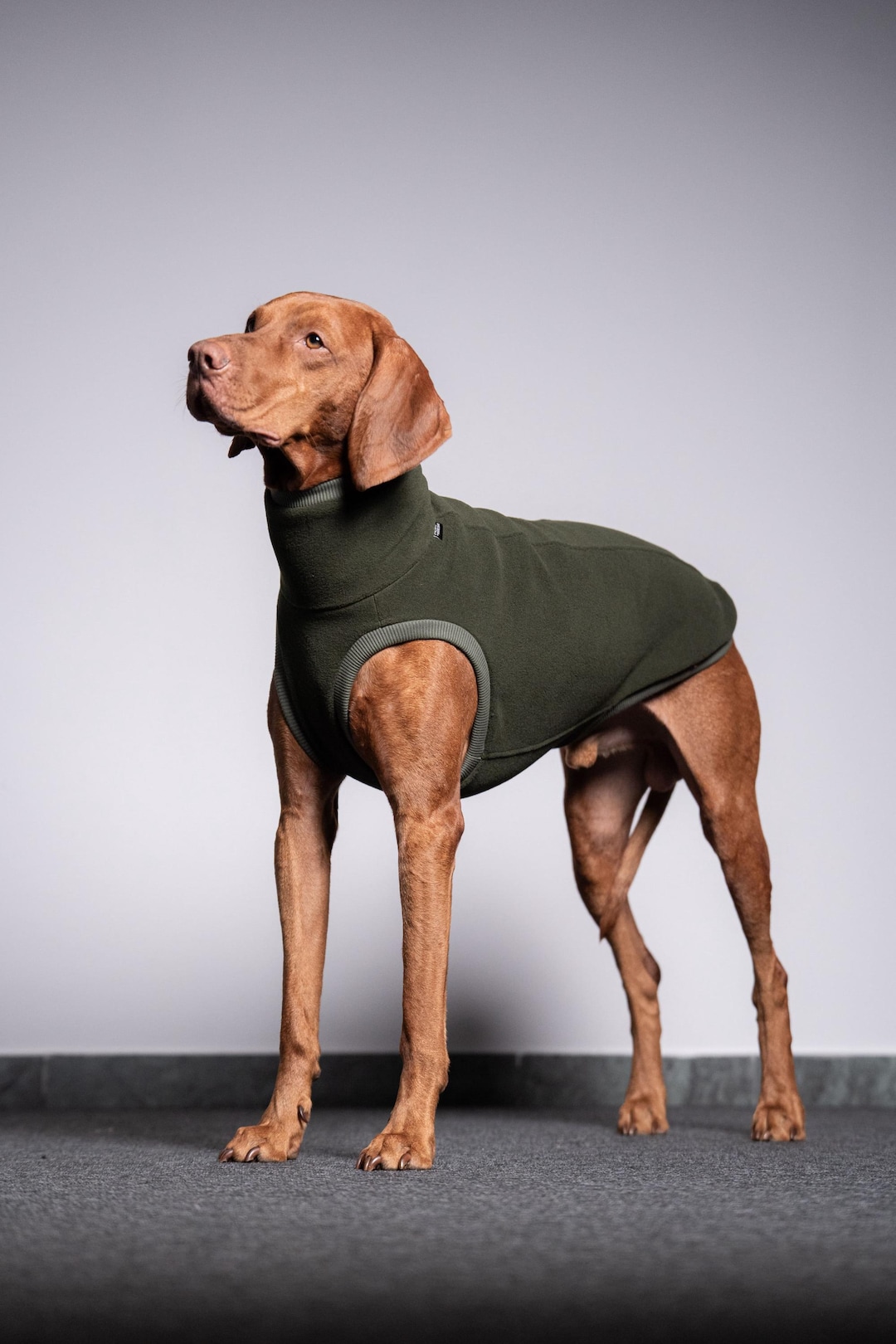 Fleece PRO Dog Clothes – Vizsla & German Pointer Jumper, Big Dog ...