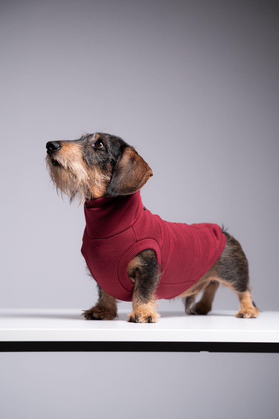 90% Cotton Dachshund Jumper – Sausage Dog Sweater, Doxie Clothes ...