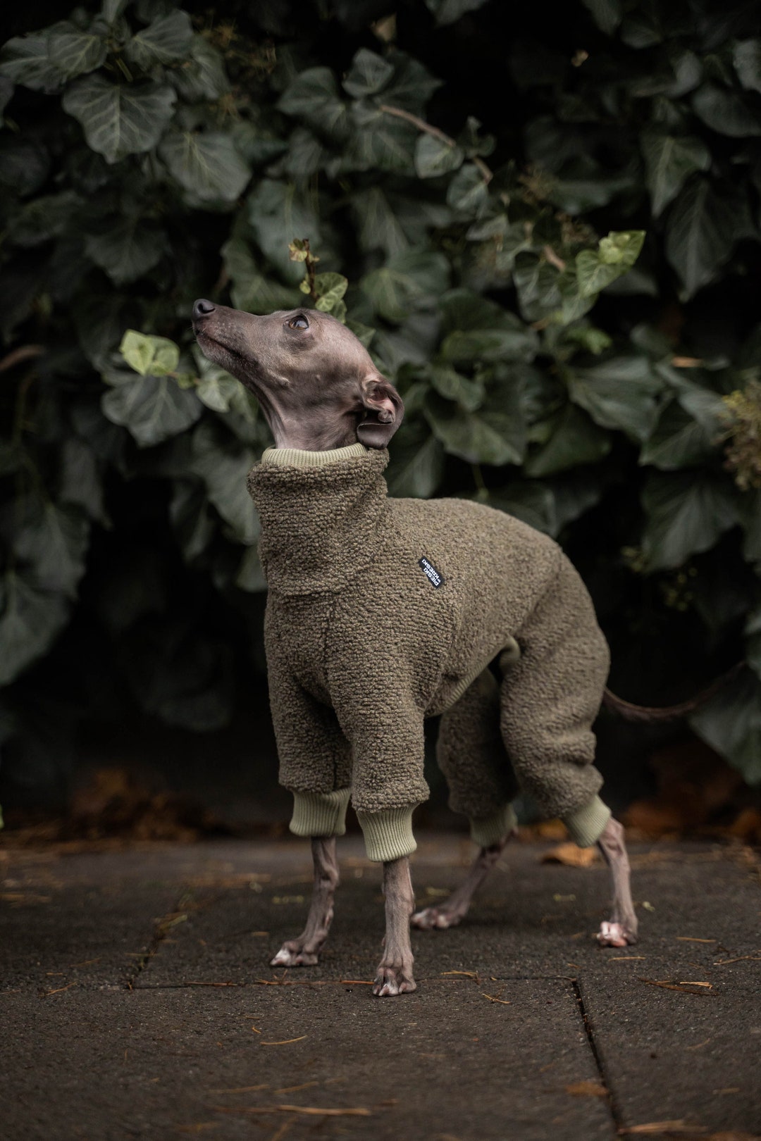 42% Wool Jumpsuit for Iggy Italian Greyhound Clothing KHAKI - Etsy