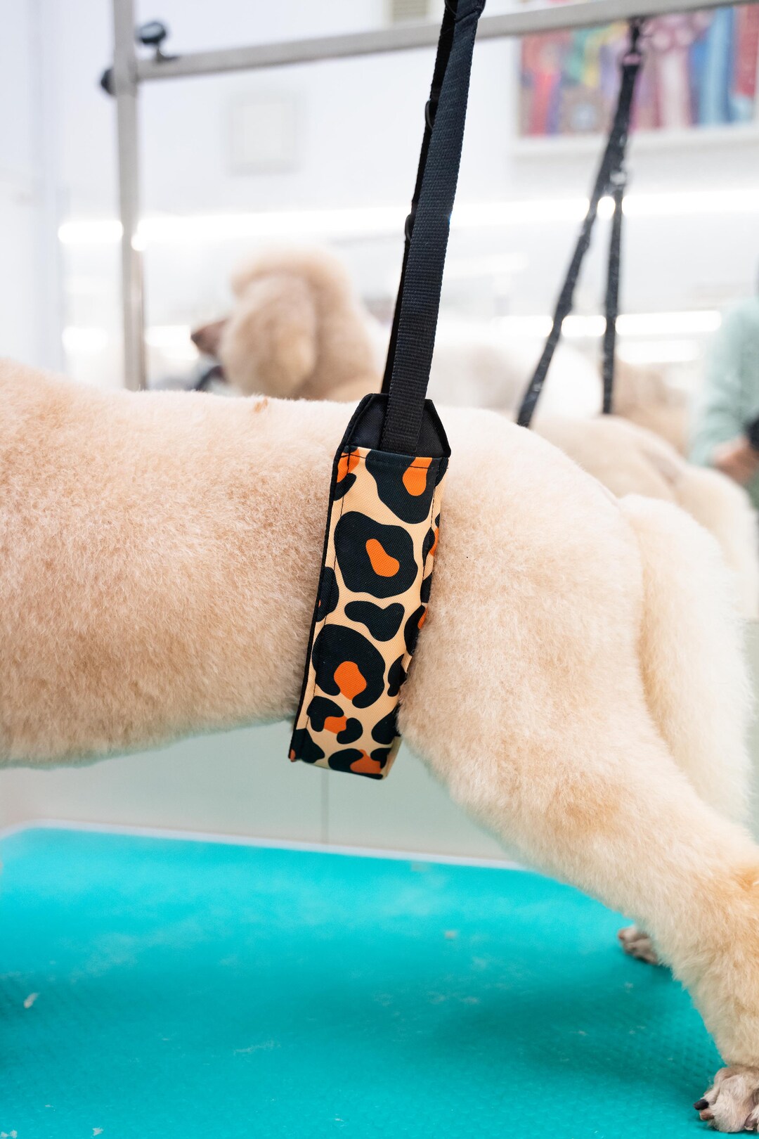 Comfort and Support: the Perfect Grooming Belt for Your Pooch. Dog ...