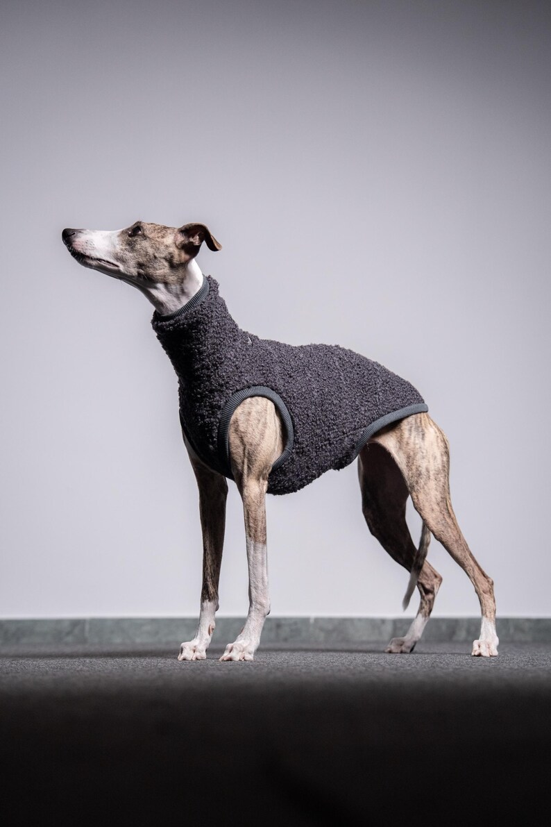 75% Wool Whippet Jumper – Whippet Clothing, Sighthound Sweater ...