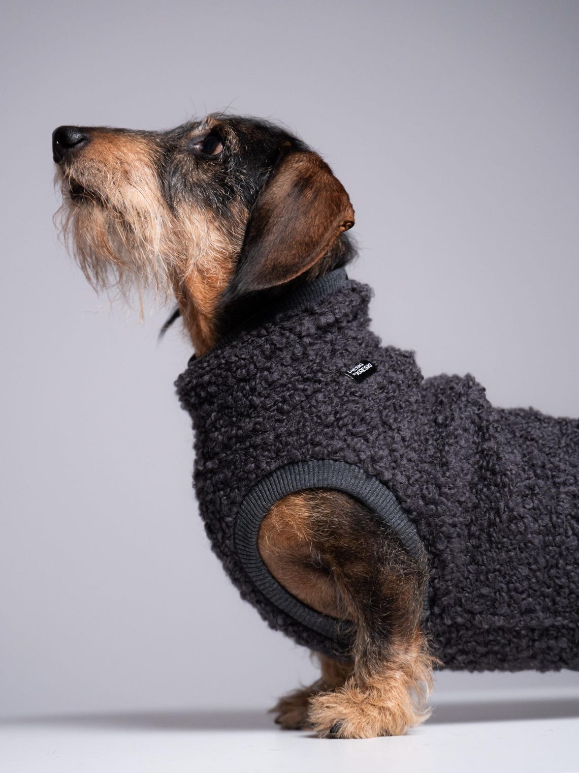 75% Wool Dachshund Jumper – Sausage Dog Sweater, Doxie Clothes ...