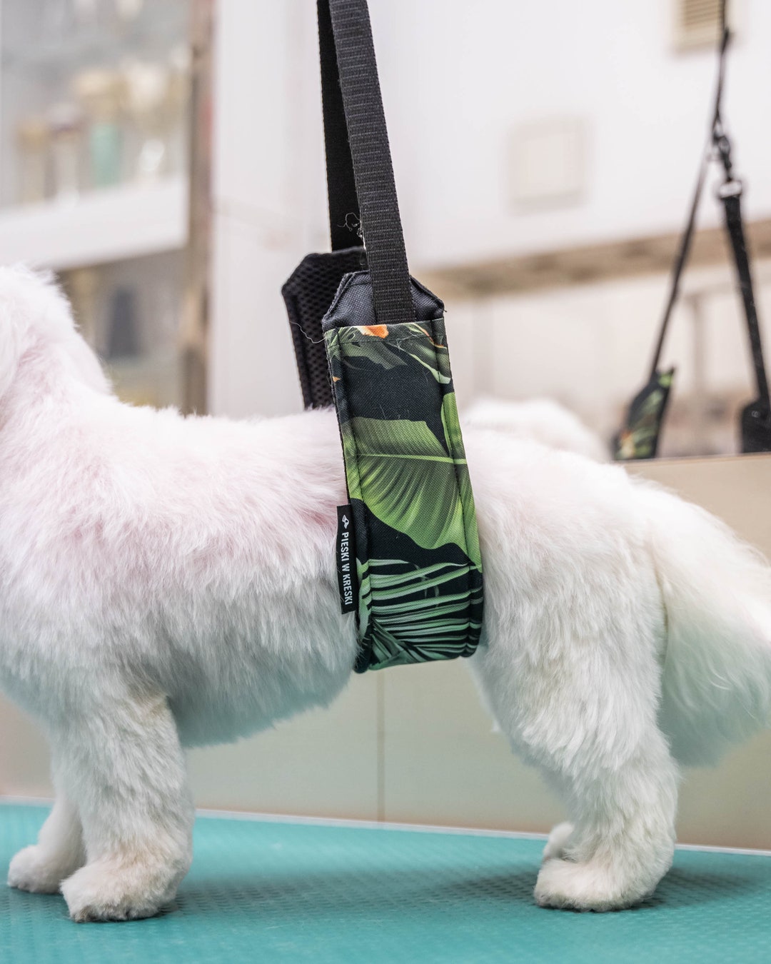 Dog Grooming Belly Strap - Dog Grooming - Groomers Helper - Leaves 03 ...