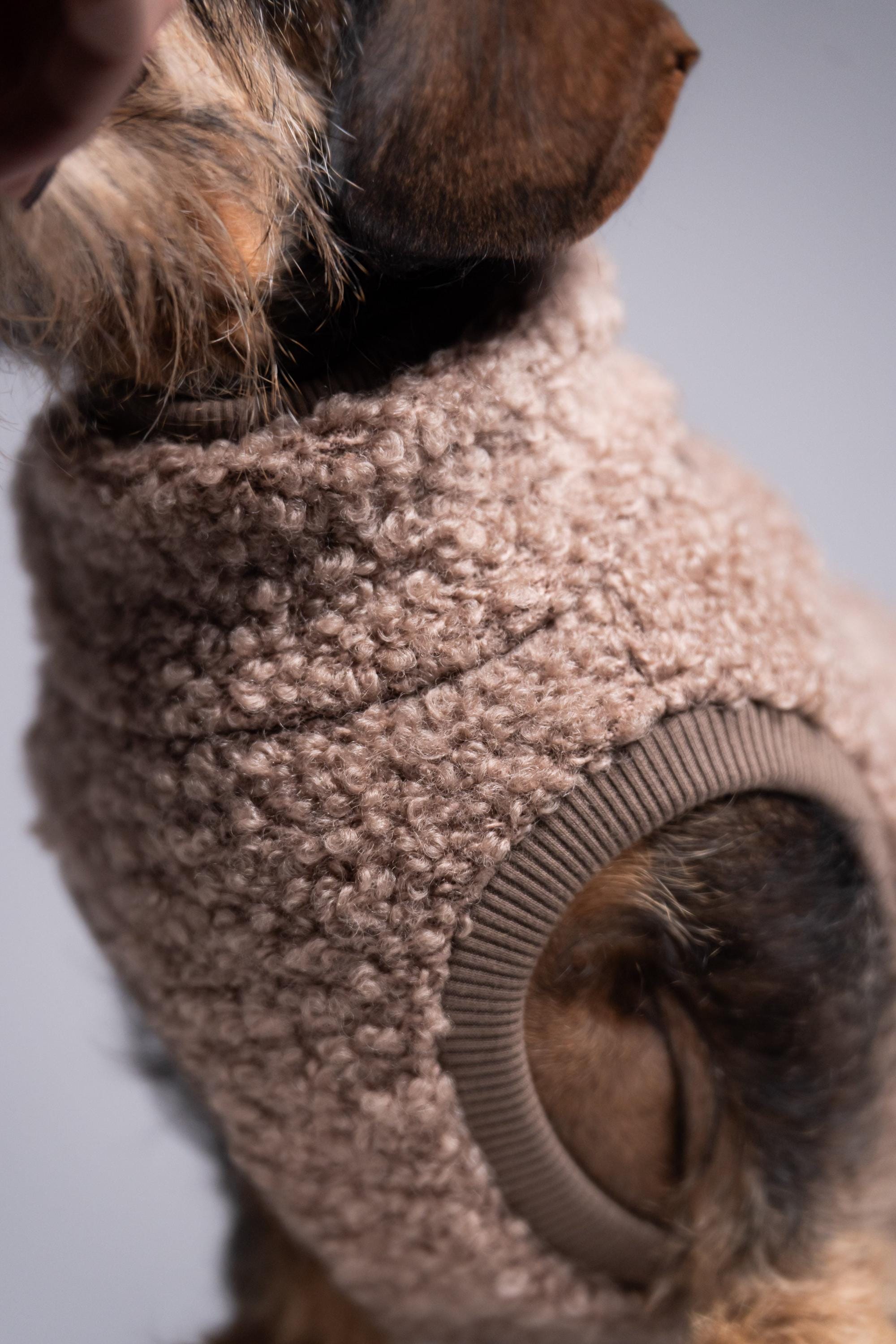 75% Wool Dachshund Jumper – Sausage Dog Sweater, Doxie Clothes, Beige ...