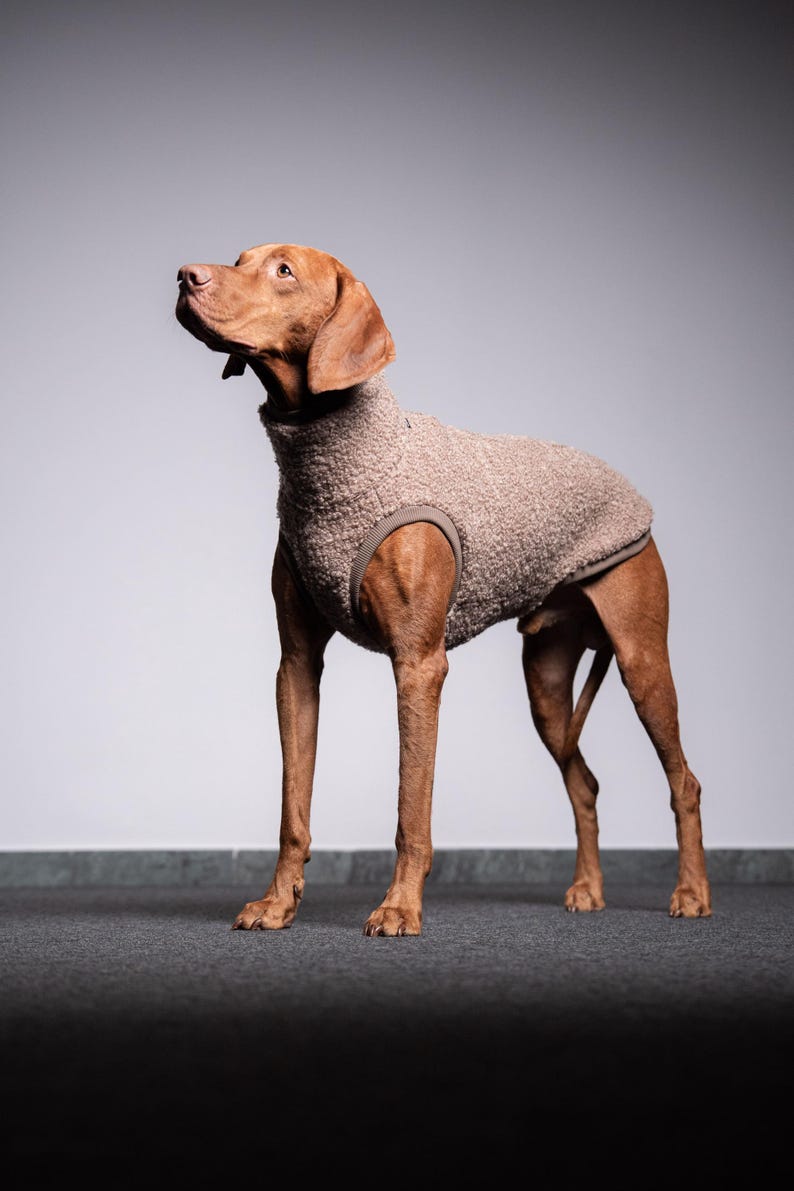 75% Wool Dog Clothes – Vizsla & German Pointer Jumper, Big Dog Sweater ...