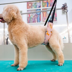 Comfort and Support: the Perfect Grooming Belt for Your Pooch. Dog ...