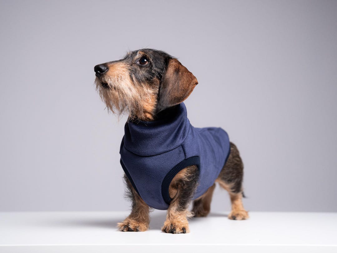 Velvet Fleece Dachshund Jumper – Sausage Dog Sweater, Doxie Clothes ...