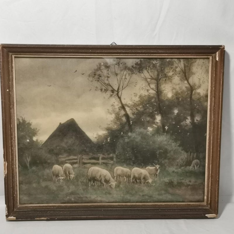Antique Lithograph Sheep - Etsy