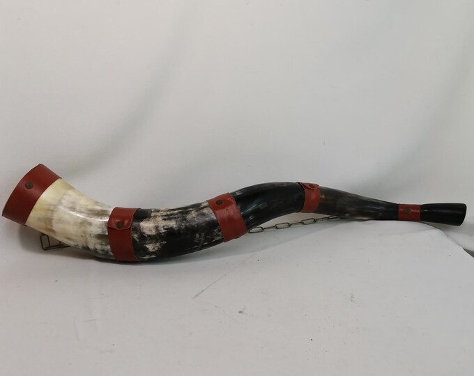 Vintage Horn Wind Instrument 1960s Hornpipe of Cow Cattle Horn ...