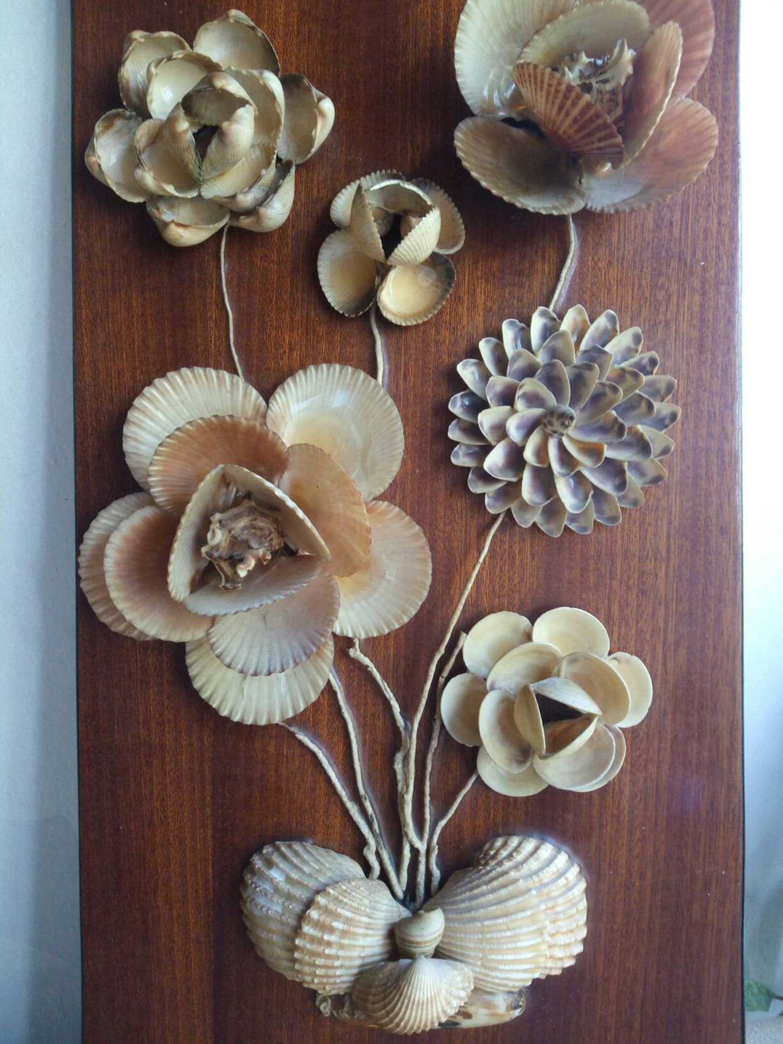 Vintage Shells Painting 1960s Teak Panel With Clams, Coral, Horn and ...