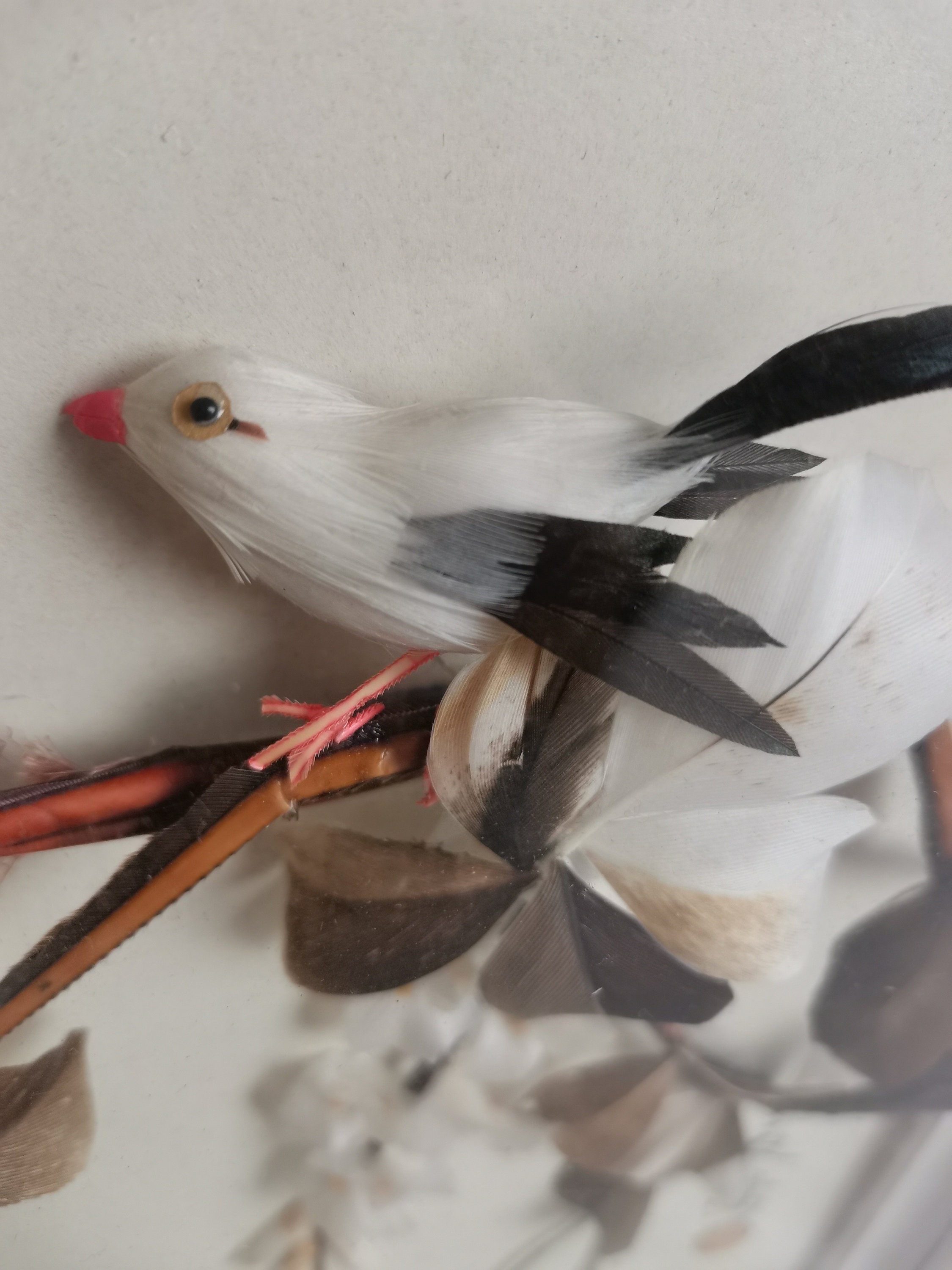 Vintage Chinese Diorama of Feathers With Birds and Liana 1960s Chinese ...