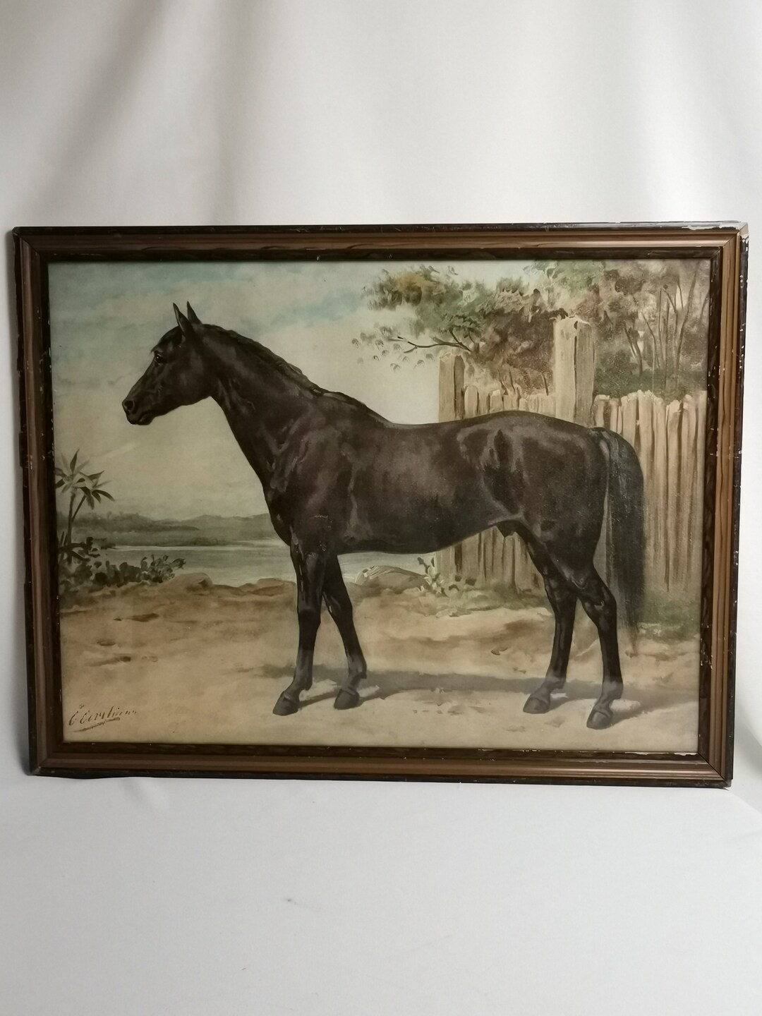 Large Antique Print Horse Otto Eerelman the Australian Horse in Frame ...