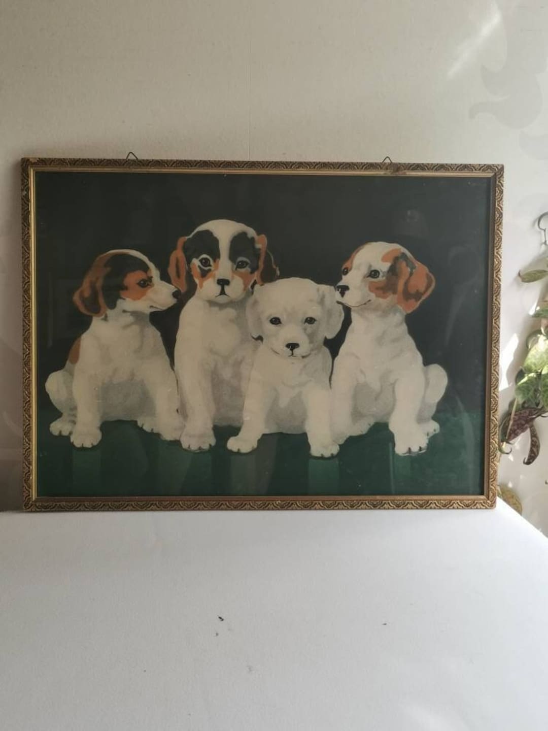 Antique Framed Print of Dogs Four Beagle Puppies Halftone Engraving in ...
