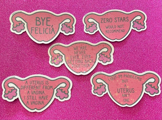 Holographic Funny Hysterectomy Sticker Pack Bye Felicia 99 - Etsy