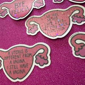 Holographic Funny Hysterectomy Sticker Pack, Bye Felicia, 99 Problems ...