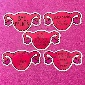 Funny Hysterectomy Sticker Pack, Bye Felicia, 99 Problems, Taylor Swift ...