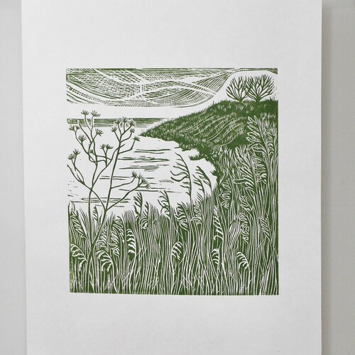 Shell Collection Original Limited Edition Lino Print Linocut - Etsy UK