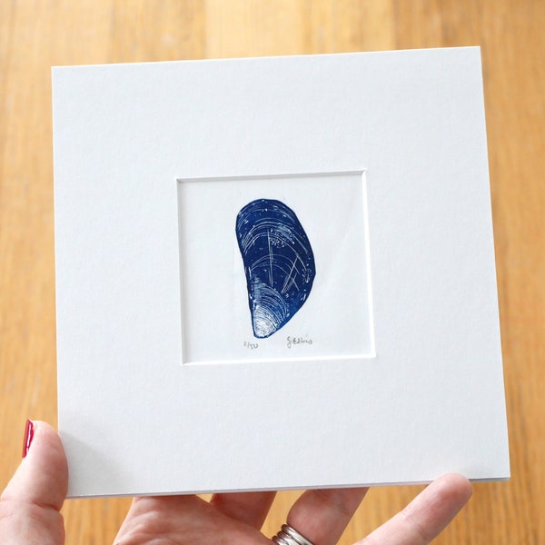 Mussel Shells - Etsy