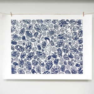 Shell Collection Original Limited Edition Lino Print, Linocut Print ...