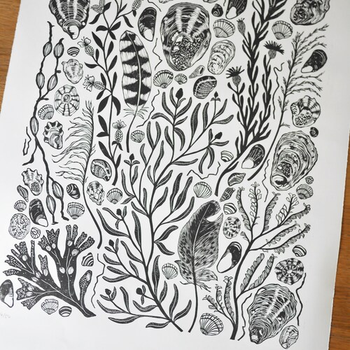 Shell Collection Original Limited Edition Lino Print Linocut - Etsy UK