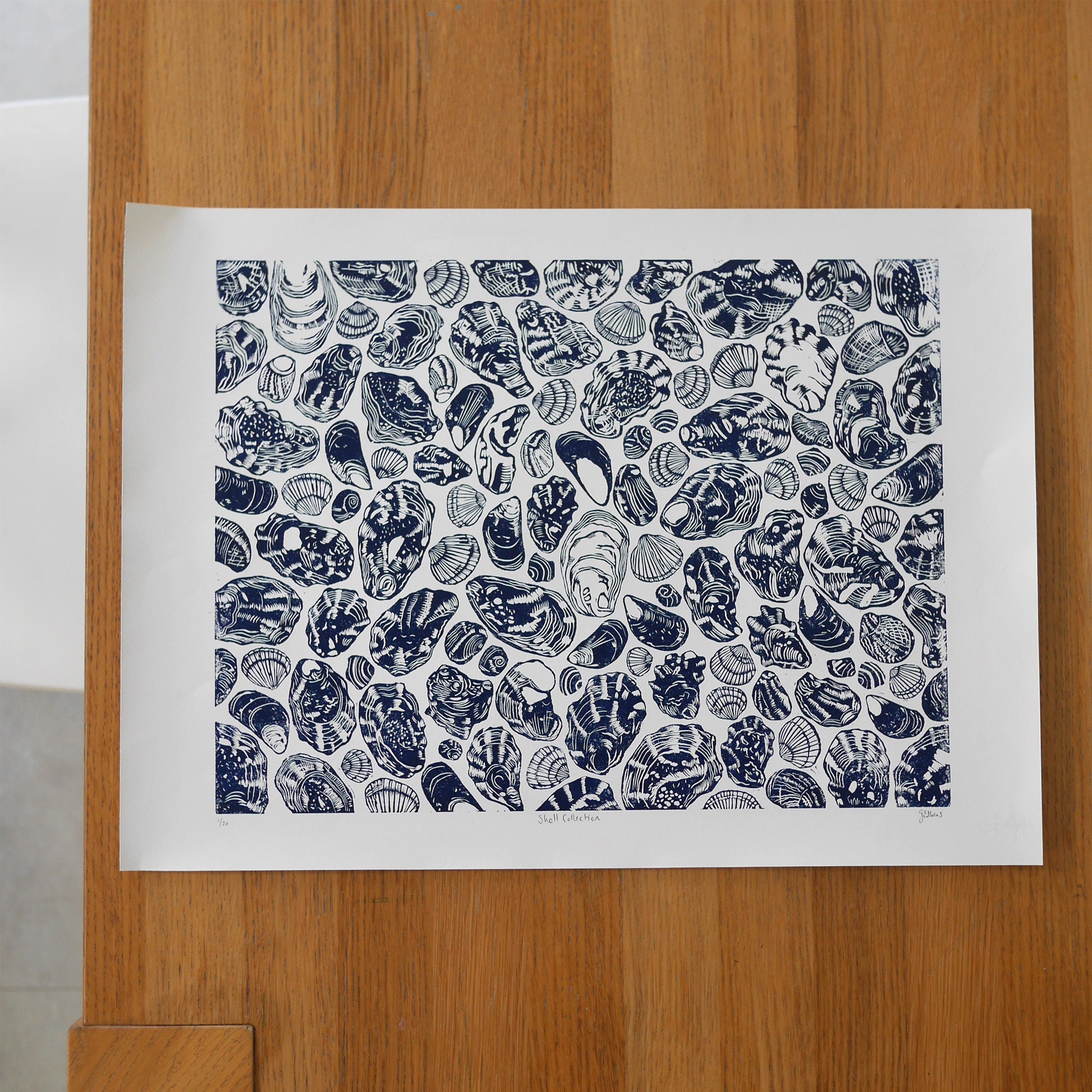 Shell Collection Original Limited Edition Lino Print Linocut - Etsy UK