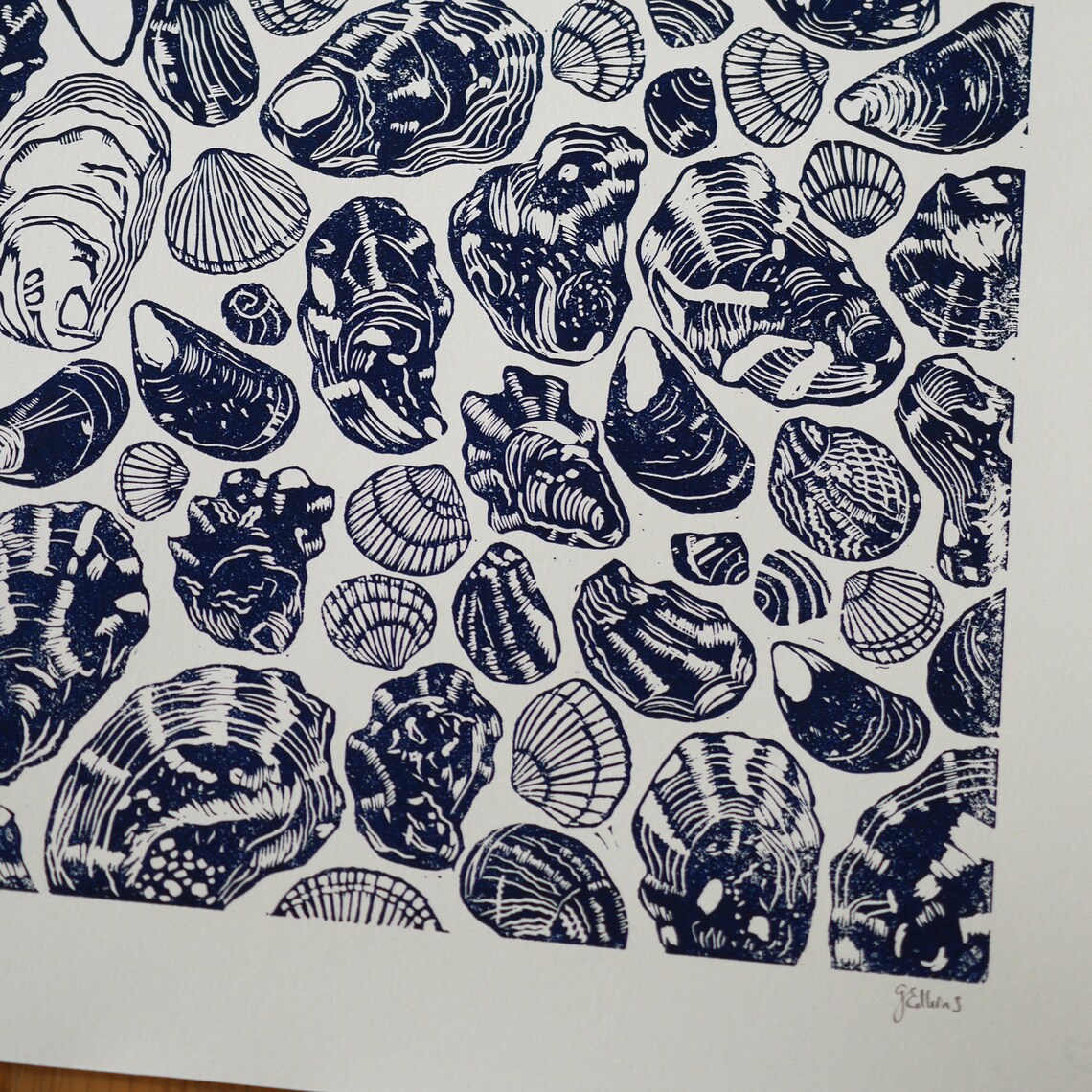 Shell Collection Original Limited Edition Lino Print Linocut - Etsy UK
