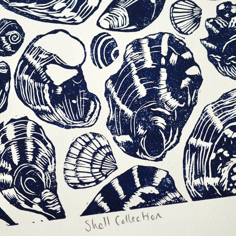 Shell Collection Original Limited Edition Lino Print Linocut - Etsy UK