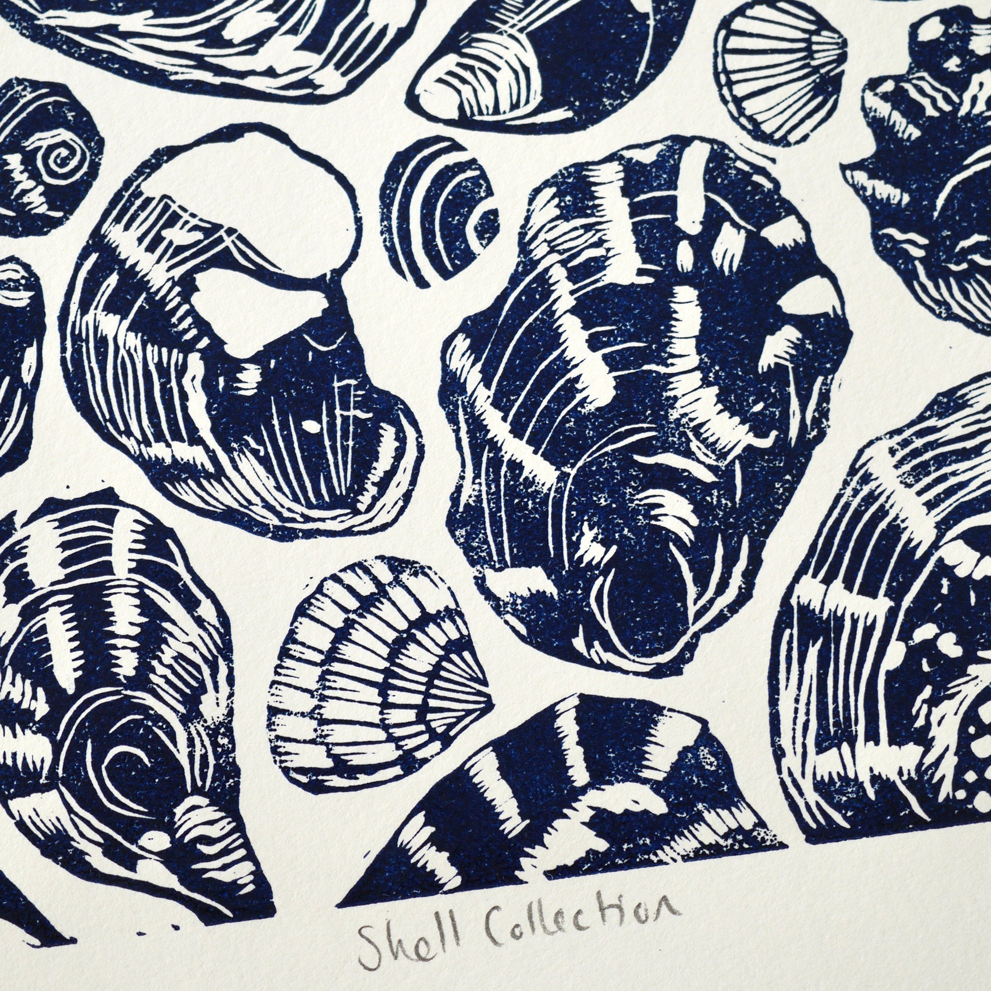 Shell Collection Original Limited Edition Lino print Linocut | Etsy