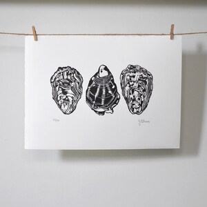 Oyster Shell Study Original Limited Edition Lino Print - Etsy UK